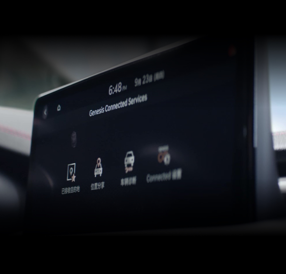 Genesis Connected Services